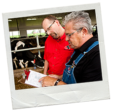 Holstein Canada: Services - Classification