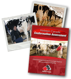 Browser not supported