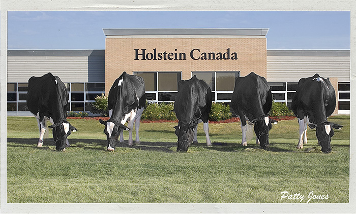 Browser not supported