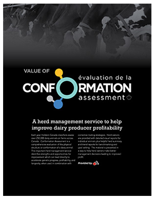 Holstein Canada: Services - Classification